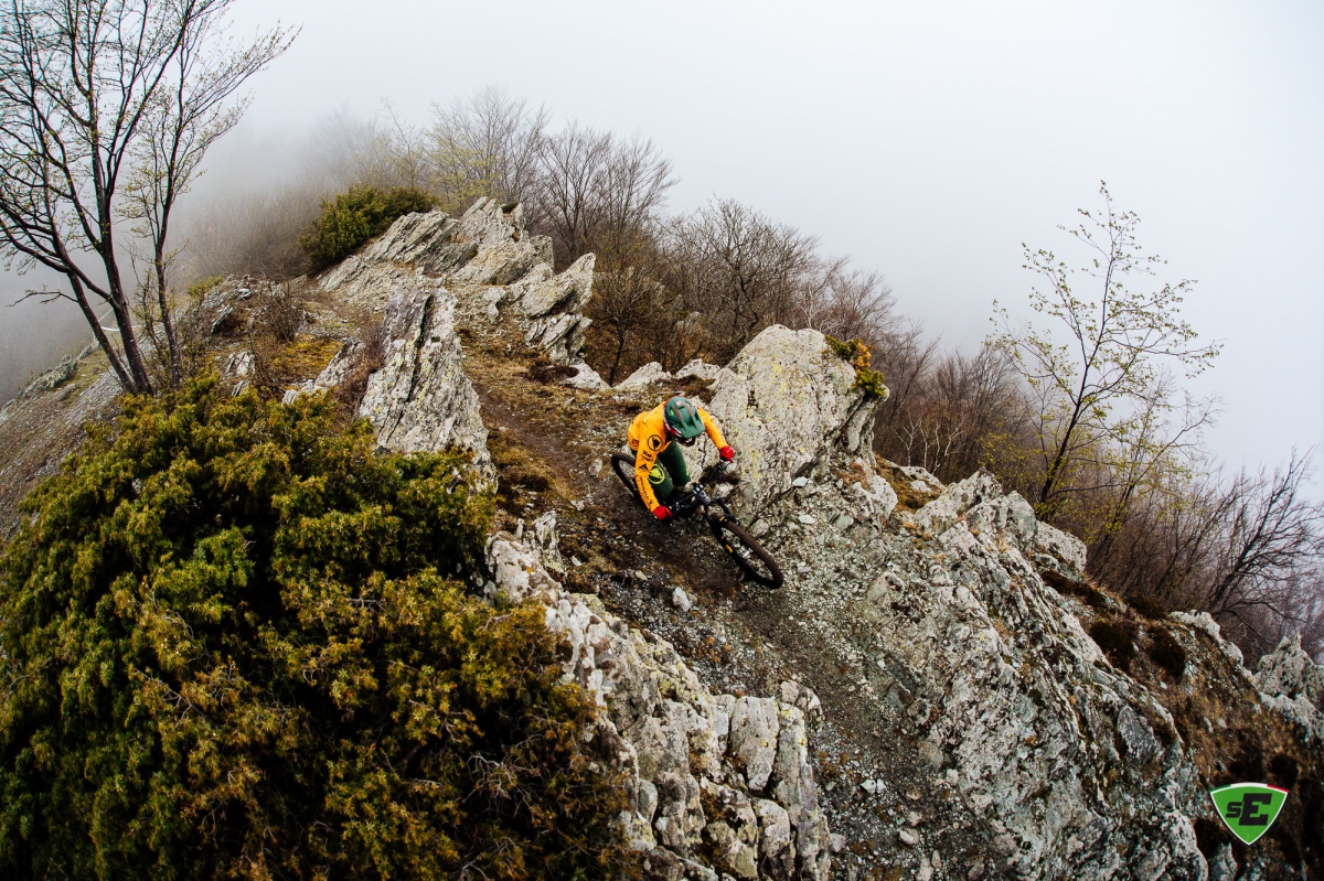 Gallery 2019 - Lupato Brothers